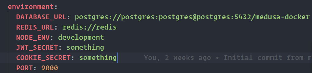 Medusa Create An Ecommerce Website With Docker